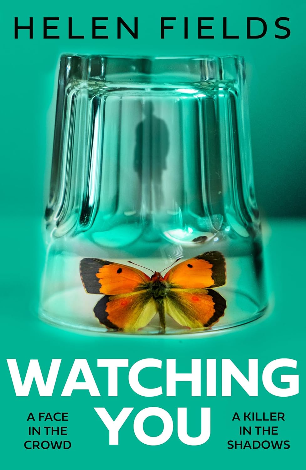 Book Review: Watching You by Helen Fields – Minnie's Fiction Addiction
